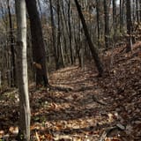 Stringers Ridge via Blue Trail, Tennessee - 1,820 Reviews, Map | AllTrails