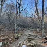 Hawksbill Loop Trail, Virginia - 4,114 Reviews, Map | AllTrails