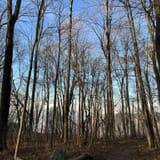 Hawksbill Loop Trail, Virginia - 4,114 Reviews, Map | AllTrails