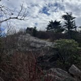 Wilburn Ridge via Appalachian Trail, Virginia - 1,799 Reviews, Map ...