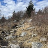 Wilburn Ridge via Appalachian Trail, Virginia - 1,799 Reviews, Map ...