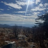 Wilburn Ridge via Appalachian Trail, Virginia - 1,799 Reviews, Map ...