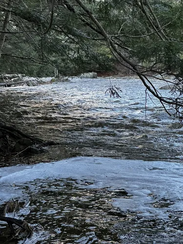 Best Hikes and Trails in Stover Preserve | AllTrails