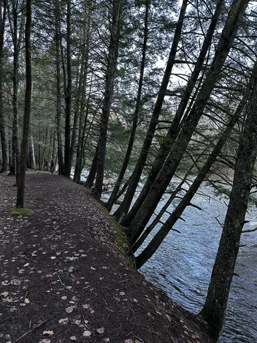 Best Hikes and Trails in Stover Preserve | AllTrails