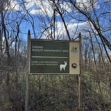 Blockhouse Point Loop Trail, Maryland - 1,045 Reviews, Map | AllTrails