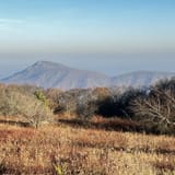 Hawksbill Loop Trail, Virginia - 4,114 Reviews, Map | AllTrails