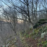 Hawksbill Loop Trail, Virginia - 4,114 Reviews, Map | AllTrails