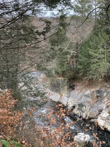 Best Hikes and Trails in Chesterfield Gorge Reservation | AllTrails