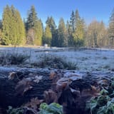 Lord Hill, Main Trail, and Temple Pond Loop Trail, Washington - 1,385 ...