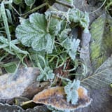 Lord Hill, Main Trail, and Temple Pond Loop Trail, Washington - 1,385 ...