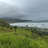 Wainui Reserve Bush Park, Waikato, New Zealand - 34 Reviews, Map ...