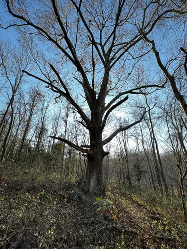 Best Hikes and Trails in Poolesville | AllTrails