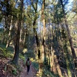4T Trail, Oregon - 260 Reviews, Map | AllTrails