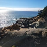 Cape Sebastian Trail, Oregon - 698 Reviews, Map | AllTrails