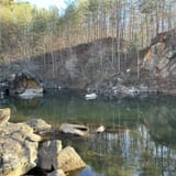 Pine Log Creek Trail, Georgia - 2,250 Reviews, Map | AllTrails