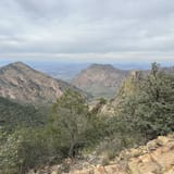 Emory Peak Trail, Texas - 2,012 Reviews, Map | AllTrails