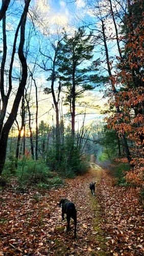 Best Hikes and Trails in Steepletop Reserve | AllTrails