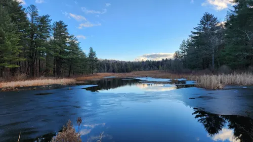 Best Hikes and Trails in Steepletop Reserve | AllTrails