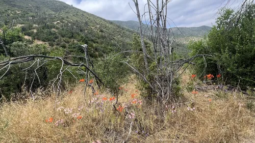 Best Hikes and Trails in Curacaví | AllTrails