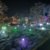 Lewis Ginter Botanical Garden, Virginia - 104 Reviews, Map | AllTrails