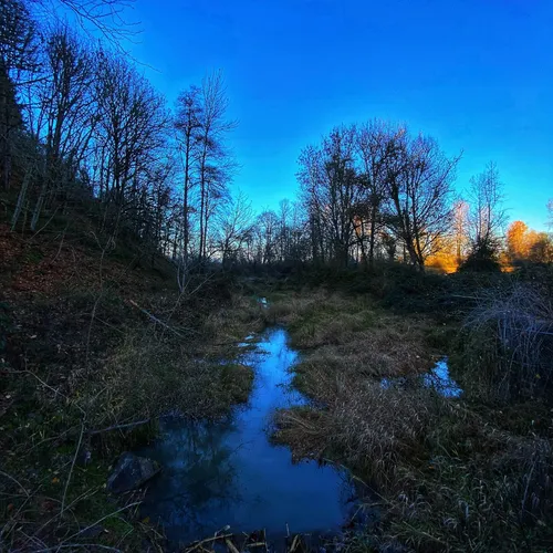 Best Hikes and Trails in Clearwater Park | AllTrails