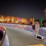 Lewis Ginter Botanical Garden, Virginia - 114 Reviews, Map | AllTrails