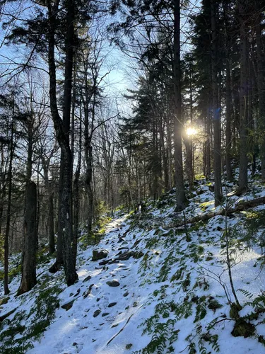 Best Hikes and Trails in White Rocks National Recreation Area | AllTrails