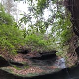 Red Byrd Arch, Kentucky - 255 Reviews, Map | AllTrails
