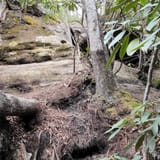 Red Byrd Arch, Kentucky - 255 Reviews, Map | AllTrails