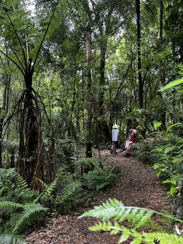 Lake Rotoiti and Lake Rotoma Scenic Reserves : de beste routes om te ...