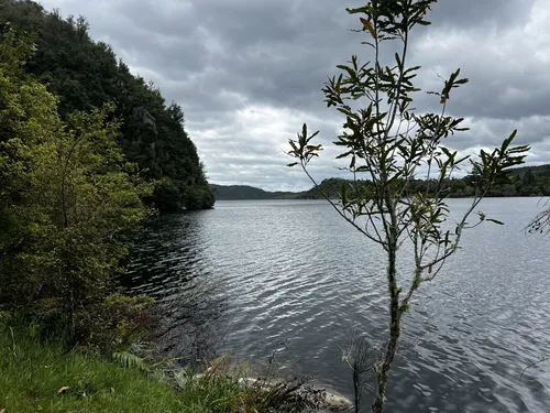 Lake Rotoiti and Lake Rotoma Scenic Reserves : de beste routes om te ...
