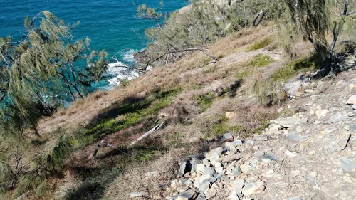 Best Hikes and Trails in Curtis Island National Park | AllTrails