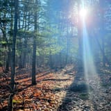 Sunset Rocks Trail, Pennsylvania - 879 Reviews, Map | AllTrails