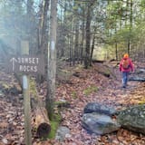 Sunset Rocks Trail, Pennsylvania - 879 Reviews, Map | AllTrails