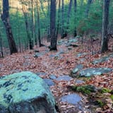 Sunset Rocks Trail, Pennsylvania - 879 Reviews, Map | AllTrails