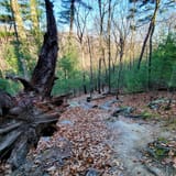 Sunset Rocks Trail, Pennsylvania - 879 Reviews, Map | AllTrails