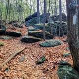 Sunset Rocks Trail, Pennsylvania - 879 Reviews, Map | AllTrails