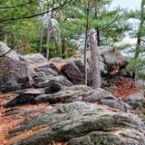 Sunset Rocks Trail, Pennsylvania - 879 Reviews, Map | AllTrails