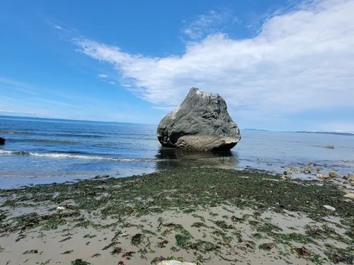 Best Hikes and Trails in North Beach Park | AllTrails