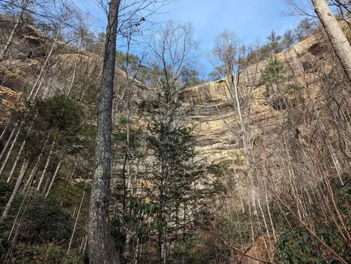 Best Lake Trails in Salt Lick | AllTrails