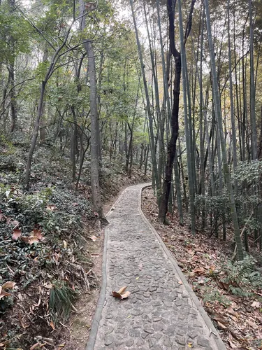10 Best Trails and Hikes in Shanghai | AllTrails