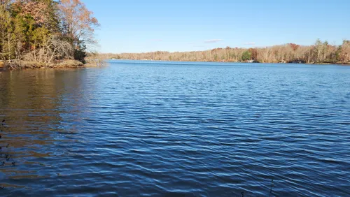 Best Hikes and Trails in Lake Anna State Park | AllTrails