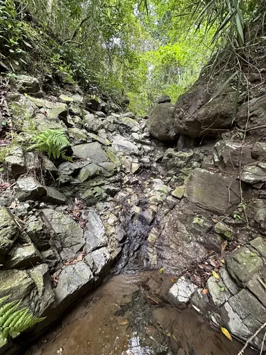 10 Best Hikes and Trails in Mount Palay - Palay National Park | AllTrails