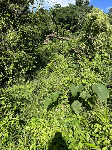 Best Walking Trails in Mount Palay - Palay National Park | AllTrails