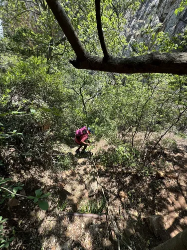 Best Forest Trails in Rustenburg | AllTrails