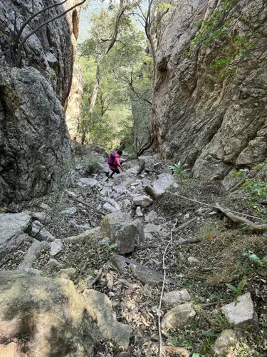 Best Forest Trails in Rustenburg | AllTrails