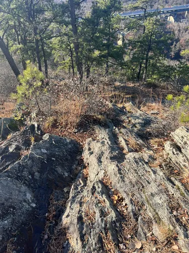 Best Hikes and Trails in Tekoa Mountain Wildlife Management Area ...