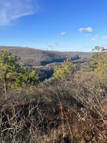 Best Hikes and Trails in Tekoa Mountain Wildlife Management Area ...