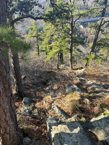 Best Hikes and Trails in Tekoa Mountain Wildlife Management Area ...