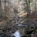 Fiery Gizzard Loop, Tennessee - 1,116 Reviews, Map | AllTrails